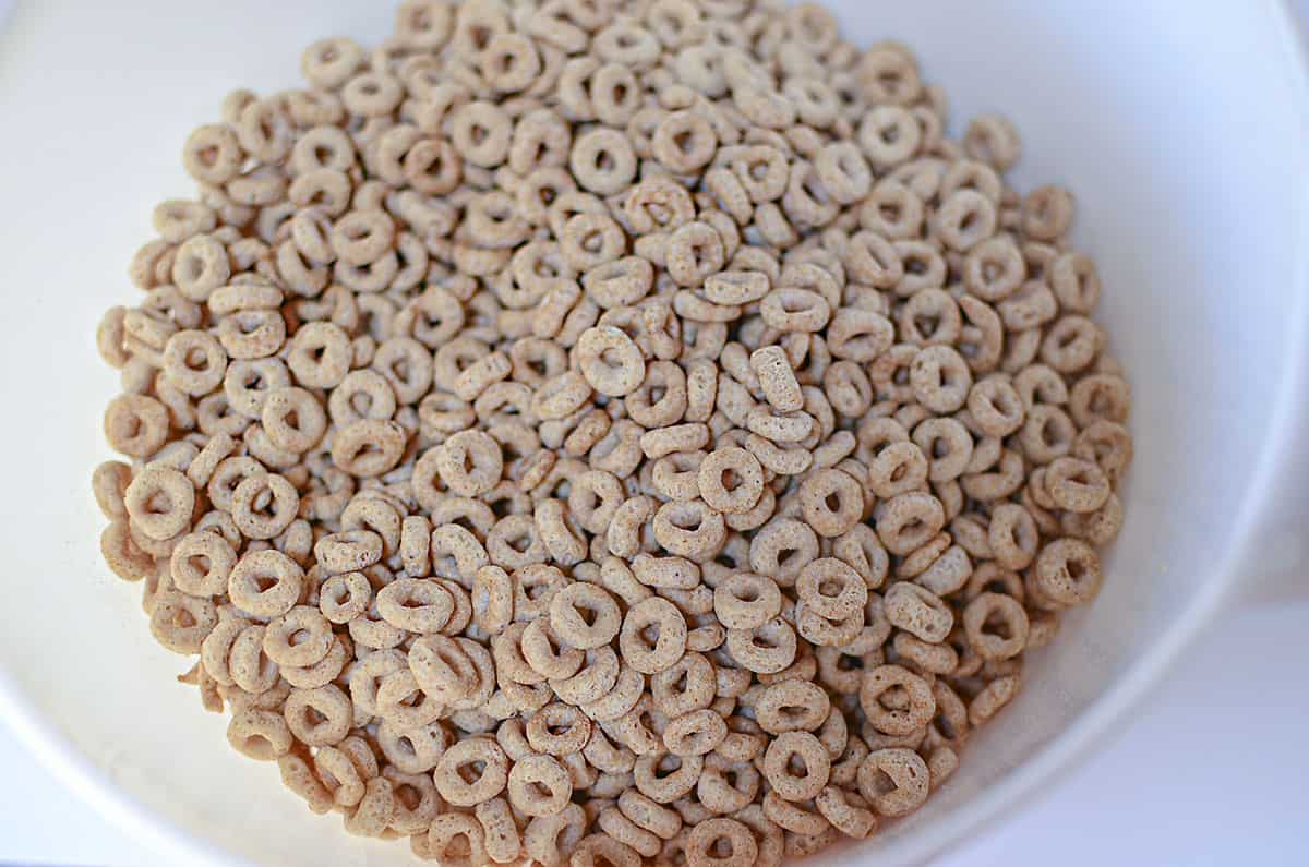 4 Ingredient Polar Bear Poop - EazyGrub