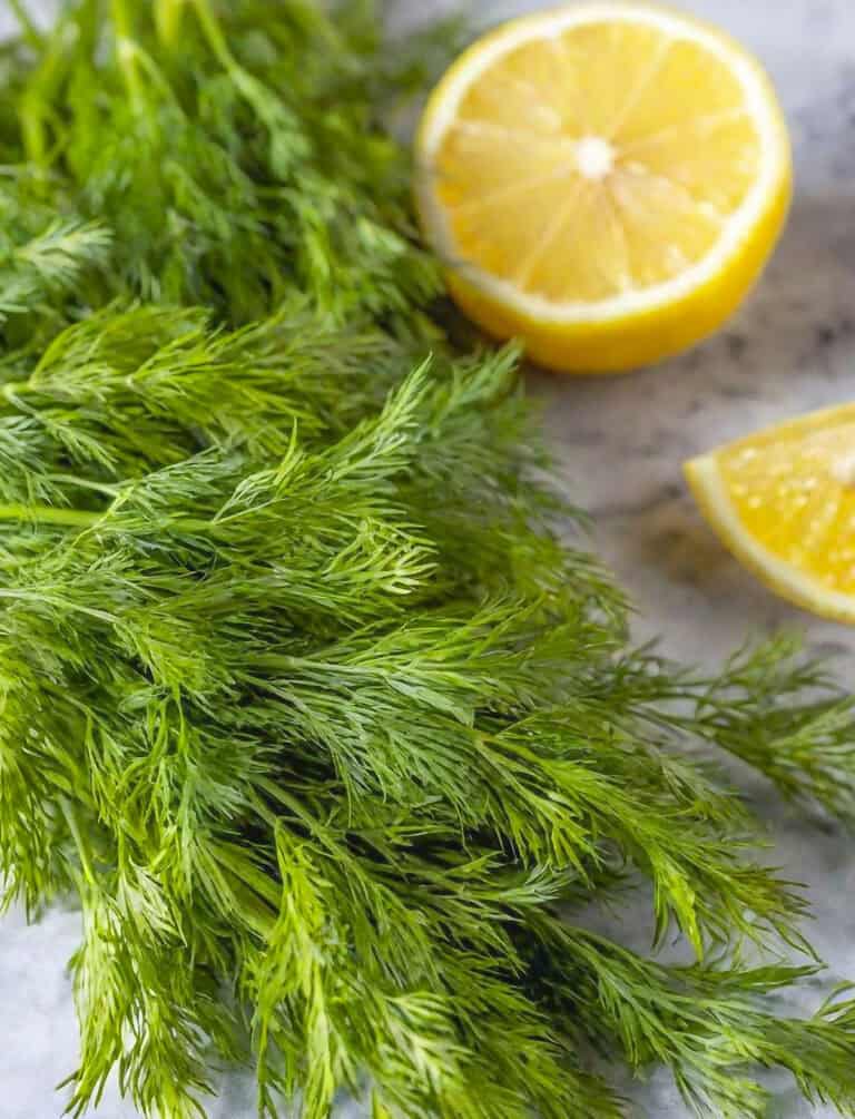 Dill Weed vs Dill : Are They The Same? - EazyGrub